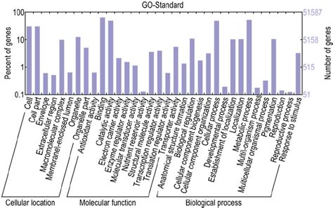 transcripts gene ontology go functional annotation 51638 transcripts