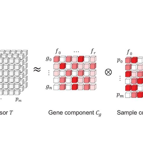 An Illustration Of The Non Negative Tensor Decomposition Parafac Download Scientific
