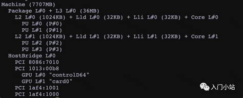 如何在linux系统中查看intel core i3、i5、amd等cpu品牌信息及详细参数 linux命令大全 手册