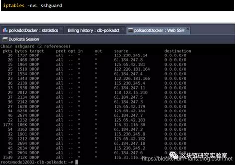 polkadot验证节点的安全性和可用性 csdn博客
