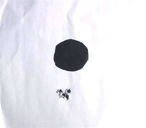 Sig Echo 3 Thermal Sight Review Weaponsman