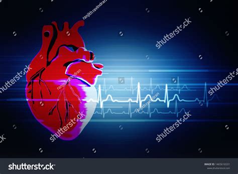3d Illustration Anatomy Human Heart Stock Illustration 1465616531