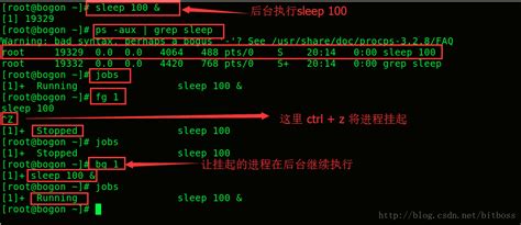 【linux】shell脚本学习总结篇shell Csdn Csdn博客