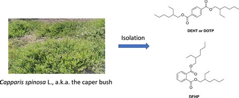 Isolation Of Two Plasticizers Bis2‐ethylhexyl Terephthalate And Bis