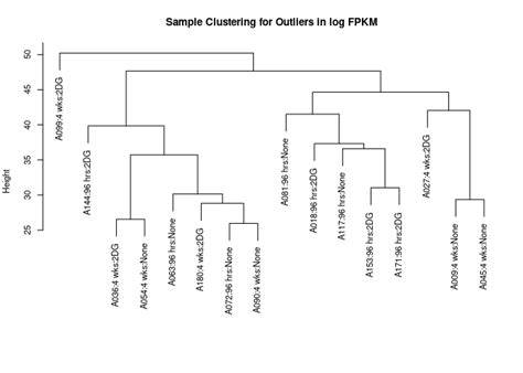 Data Cleaning Prefrontal Cortex