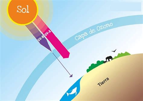 Tipos De Radiación Solar Características Y Su Impacto En La Tierra