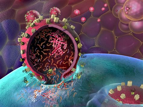 Inside Cells Molecular Biology And Biochemistry Behance