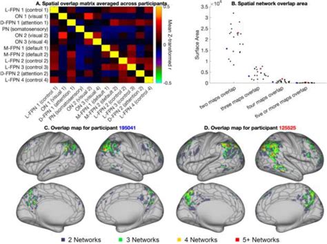 Overview Of Spatial Overlap A Group Average Spatial Overlap Matrix