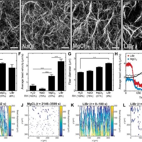Self Assembly Of Collagen In Evaporating Droplets Generates Aligned