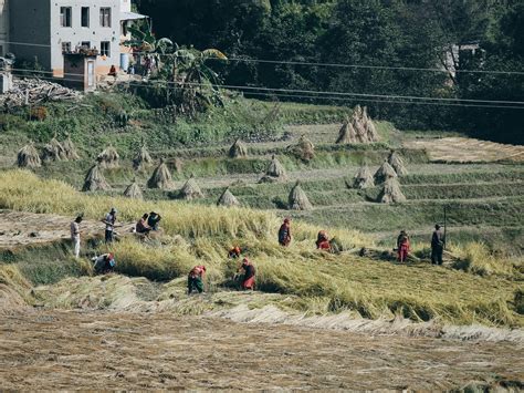 경작 경치 좋은 전망 계단식 논 계단식 농장 계절별 심기 공중 촬영 구릉 농경지 그림 같은 기하학 무늬 노동자 녹지 논 농경지 농업 공동체 농업
