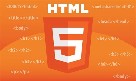Html Form Validation Real World Examples The Daily Frontend 🗞️