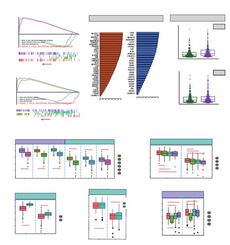 The Gene Set Enrichment Analysis Gsea Tumor Mutation Burden And