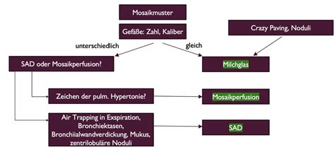 Dd Mosaikmuster Doccheck