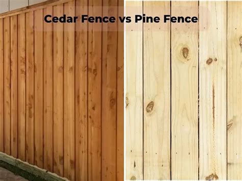 Cedar Vs Pine Fence Which Is Better For Your Home Pentagon