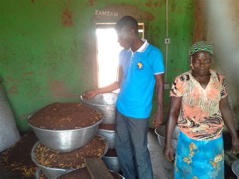 Shea Butter Processing Facilities For 200 Women Globalgiving