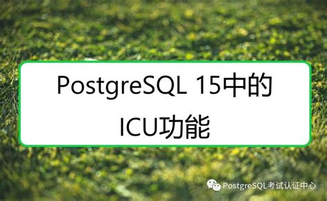 postgresql 15中的icu功能 墨天轮