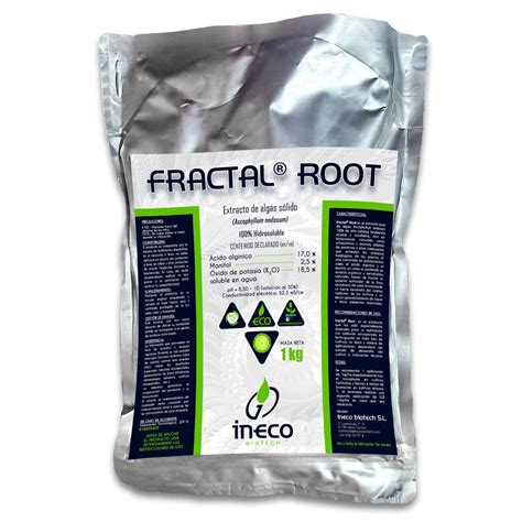 Fractal Root Ineco