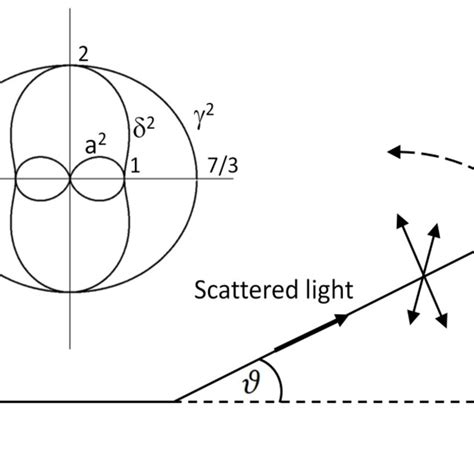 Angular Dependence Of The Raman Signal When Both The Incident And