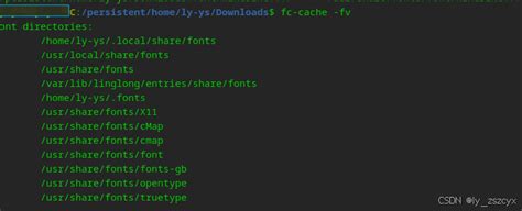 deepin wps 字体缺失问题 linux ly zszcyx deepseek技术社区