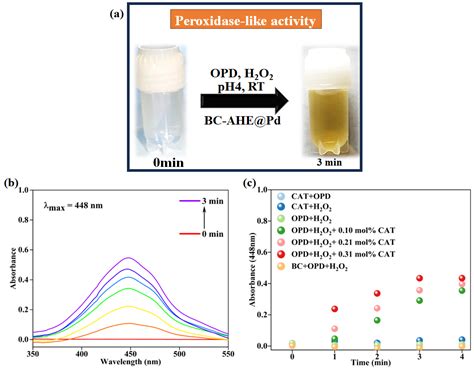 Molecules Free Full Text Palladium Nanoparticles Grafted Onto Phytochemical Functionalized