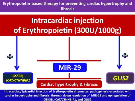 Intracardiac Injection
