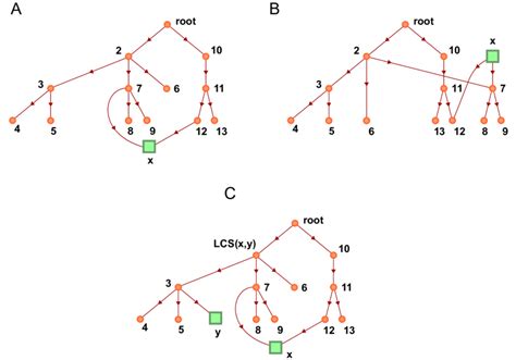 Semantic Functions Which Take Word Arguments In Wordnet 31 Fragment Download Scientific