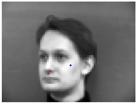 Part Full Facial Keypoints Detection