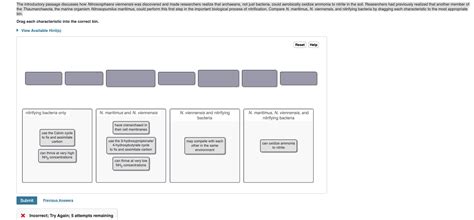 solved drag each characteristic into the correct bin