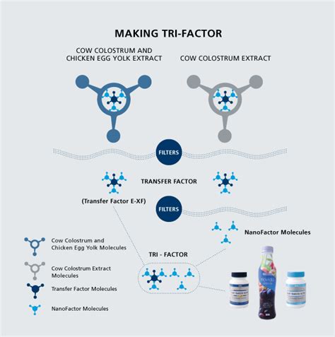 Transfer Factor Apakah Transfer Factor Itu