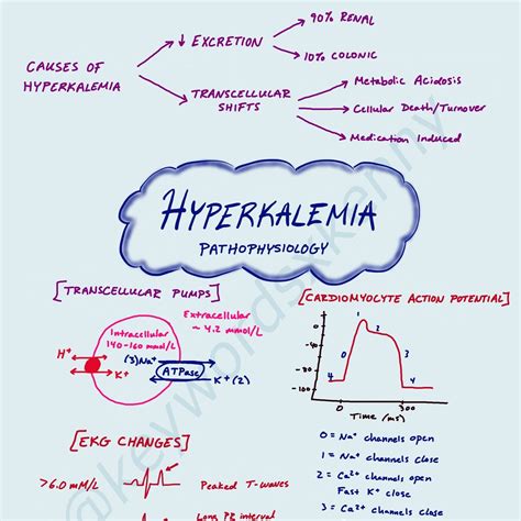Pathophysiology Of Hyperkalemia — Keywords X Kenny