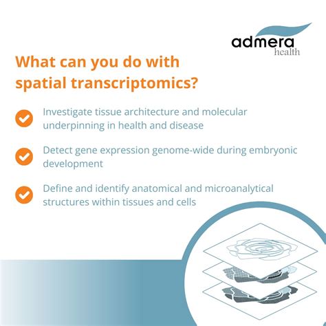 What Can You Do With Spatial Transcriptomics Spatial Transcriptomics Allows For The
