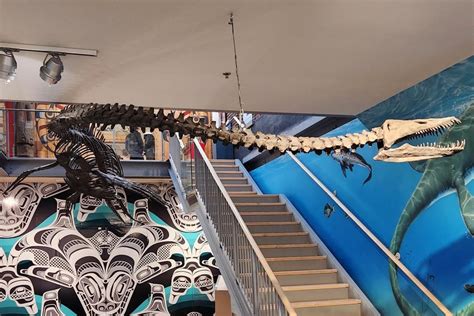 Beyond Local Marine Reptile From 80 Million Years Ago To Become B C S