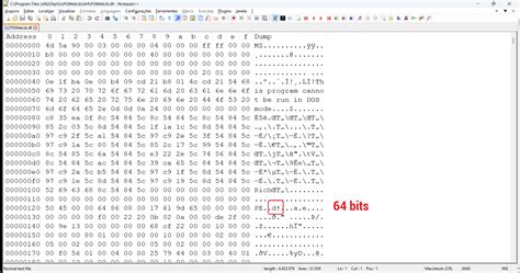 Como Detectar Uma Dll De 32 Ou 64 Bits Examinando O Arquivo Tefpix E Carteiras Digitais