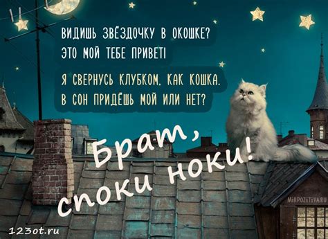 Спокойной ночи сестра картинки (47 фото) » Юмор, позитив и много ...