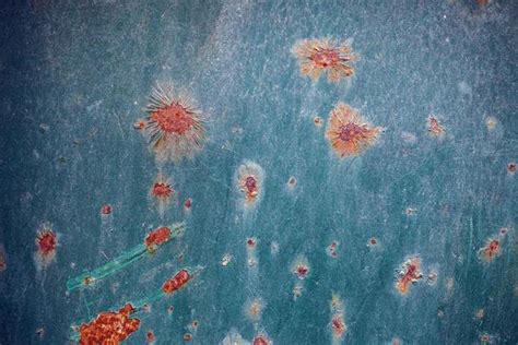 Rust Flowers Stock Photos Images And Backgrounds For Free Download