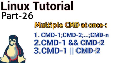 Como Executar Dois Ou Mais Comandos Do Linux Ao Mesmo Tempo