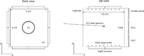 A Schematic Of The Time Projection Chamber In The Purity Monitor Download Scientific Diagram