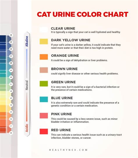 Cat Ear Positions Chart