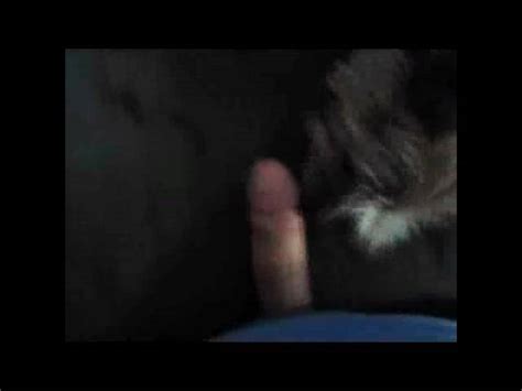 Double Lickjob And Cum