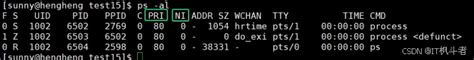 Linux进程理解、状态与优先级（详细版） Csdn博客
