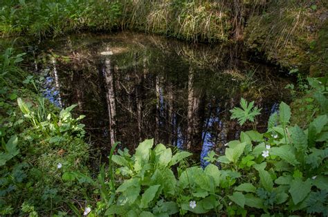Källan Eyn Sof Romantisk Ljusfångst