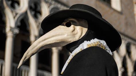 Bubonic Plague Symptoms Transmission And Prevention In California