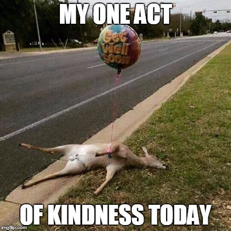 11 Funny Get Well Soon Memes For Everyone