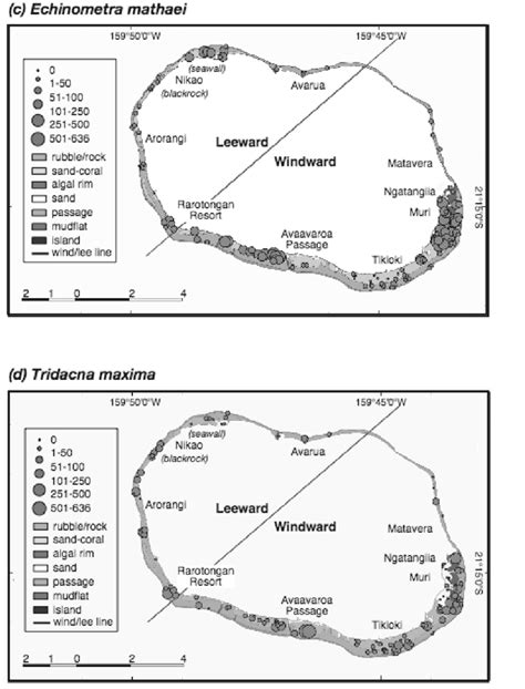Examples Of The Spatial Distribution Of The Main Andor Culturally