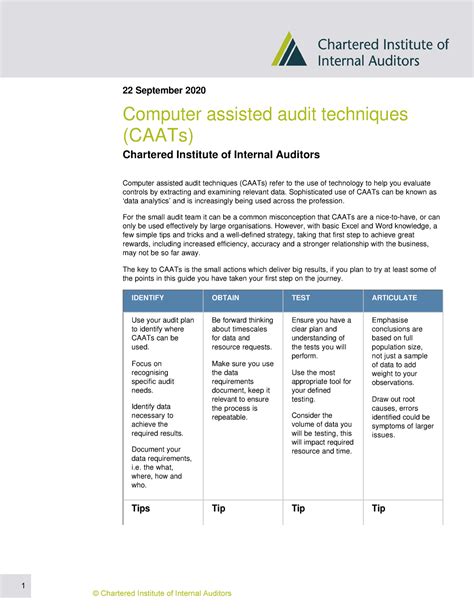 Computer Assisted Audit Techniques Caats Sophisticated Use Of Caats