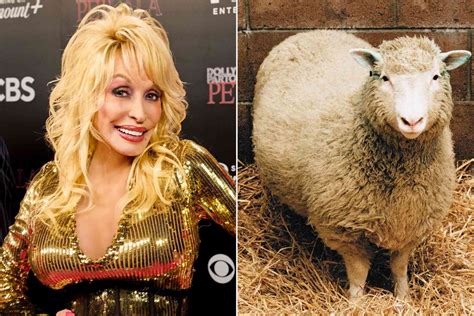 Dolly Parton Was Flattered To Learn Dolly The Sheep Was Named After Her Breasts