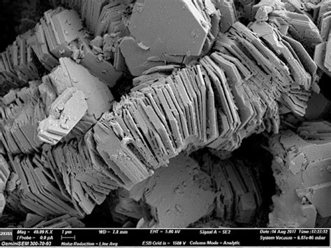 Smectite Clay