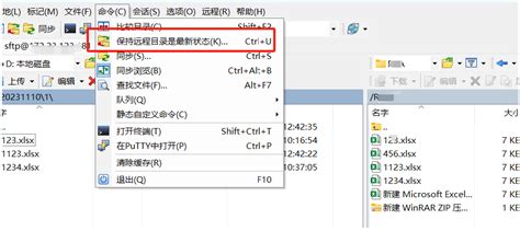 基于winscp自动同步本地文件到远程服务器 互联技术