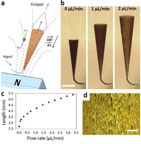 Figure 1 From A New Microfluidic Approach For The One Step Capture