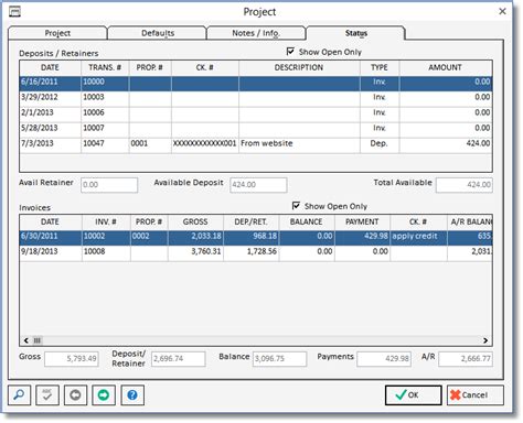 Project Window Status Tab